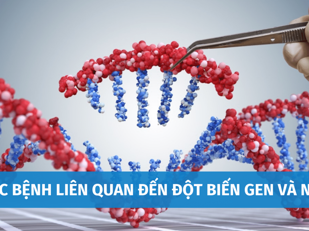 Đột Biến Gen Xảy Ra Vào Thời Điểm Nào? Các Dạng Đột Biến Gen Thường Gặp ...