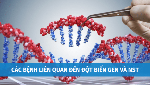 Tổng Hợp Các Bệnh Liên Quan Đến Đột Biến Gen Và NST Bạn Cần Biết - VIETGEN